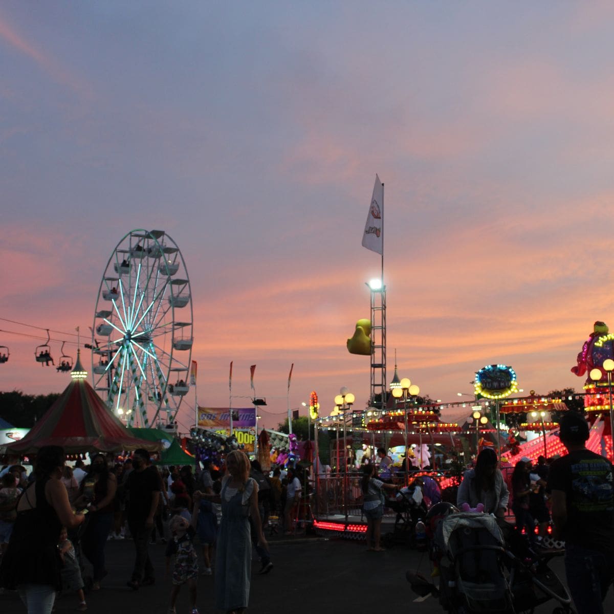 Things To Do In Costa Mesa | Enjoy OC