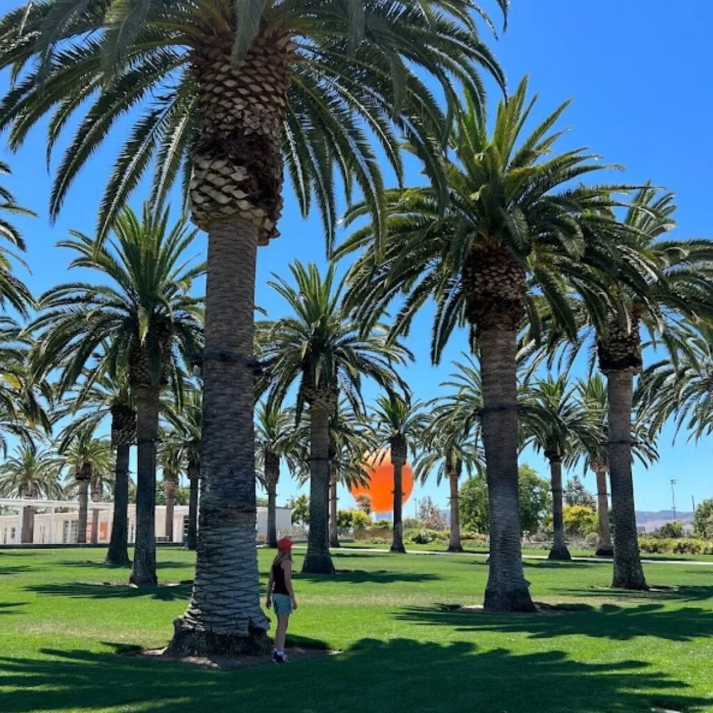 Things To Do In Irvine