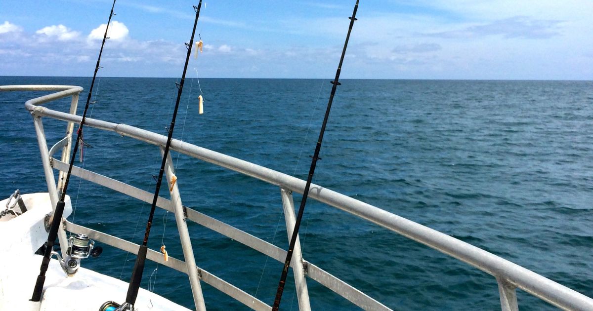 California Open Fishing Seasons | Enjoy OC