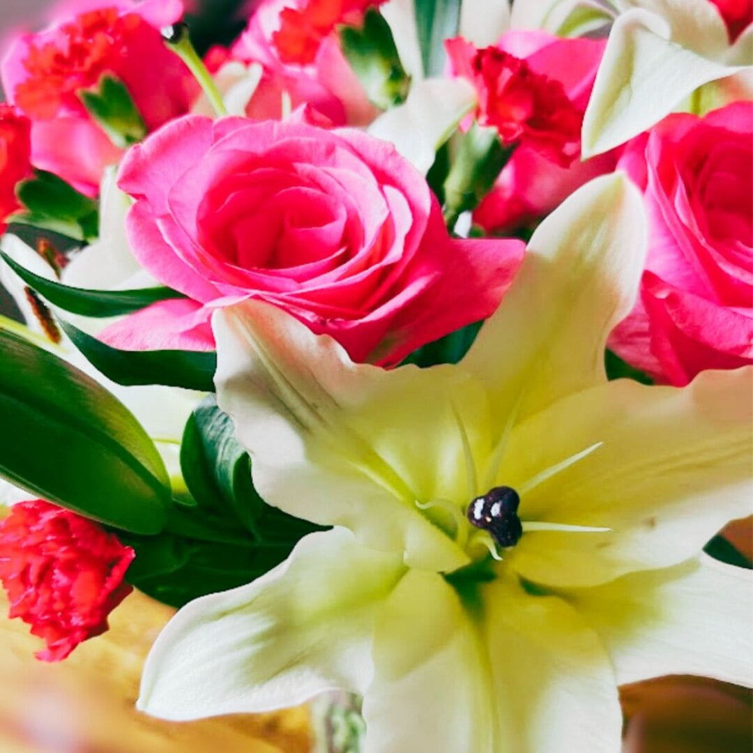 Mother’s Day | Enjoy OC