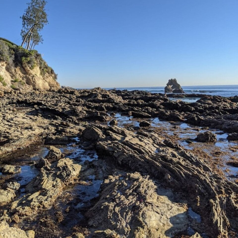 Family Friendly Tide Pools In Orange County | Enjoy OC