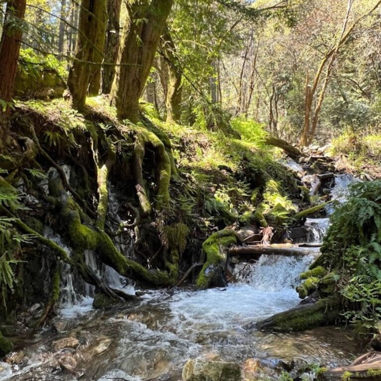 Best Waterfalls In California | Enjoy OC