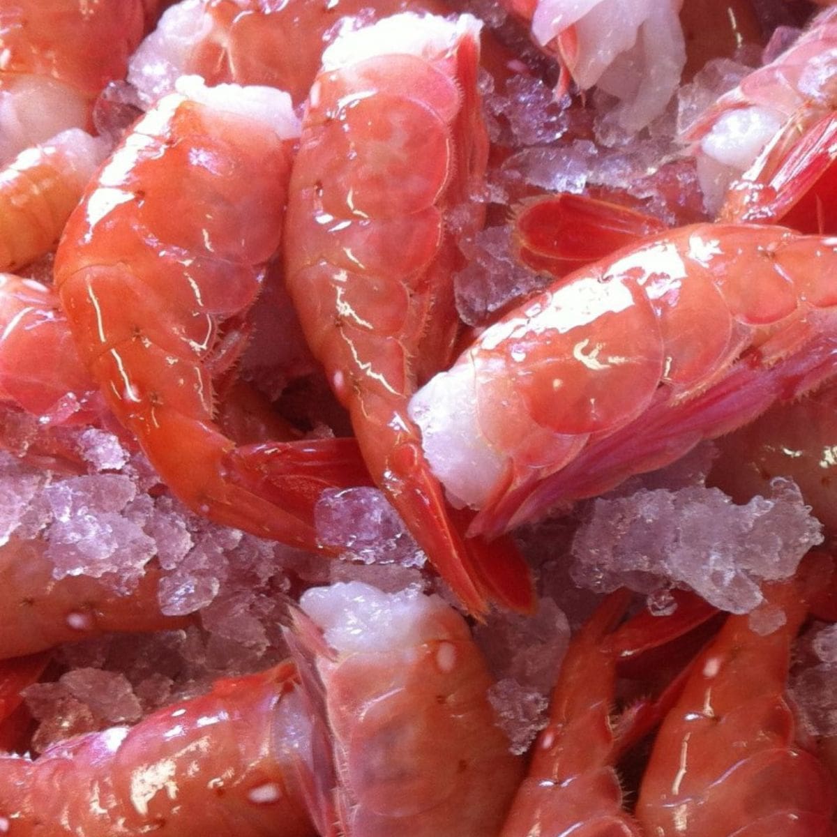 Hidden Gem: Pearson’s Port Seafood Market | Enjoy OC