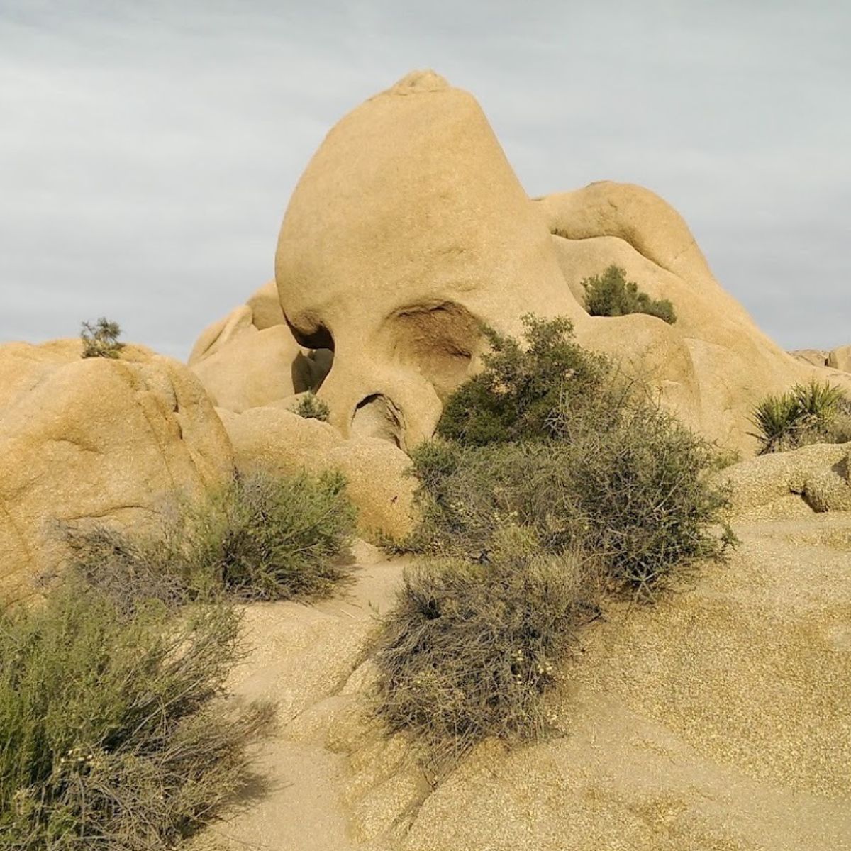 Joshua Tree Camping, Hiking & More | Enjoy OC