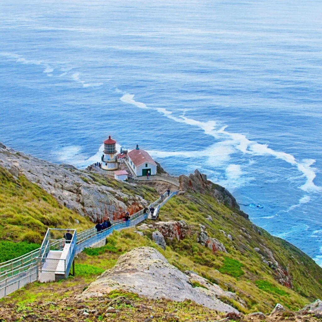 Point Reyes National Park 20 Incredible Things To Do In Point Reyes