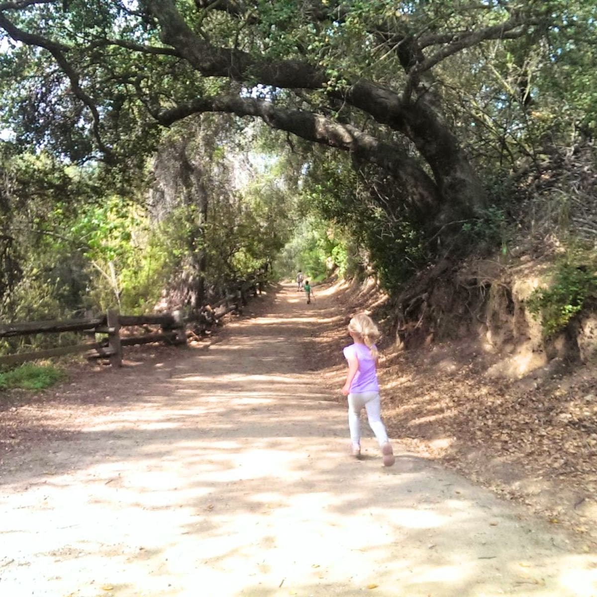 Best Hiking and Mountain Biking Trails | Enjoy OC