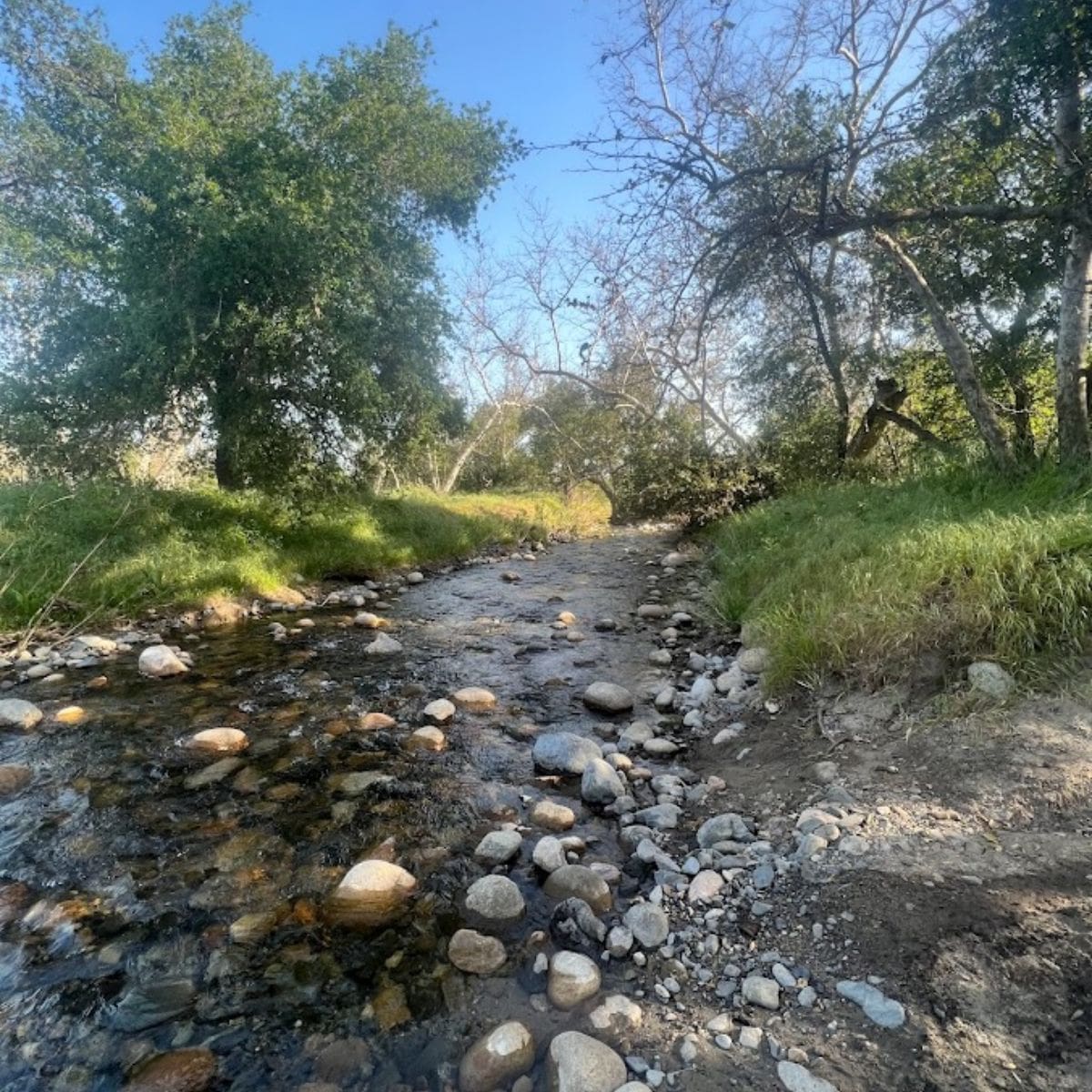Best Hiking and Mountain Biking Trails | Enjoy OC