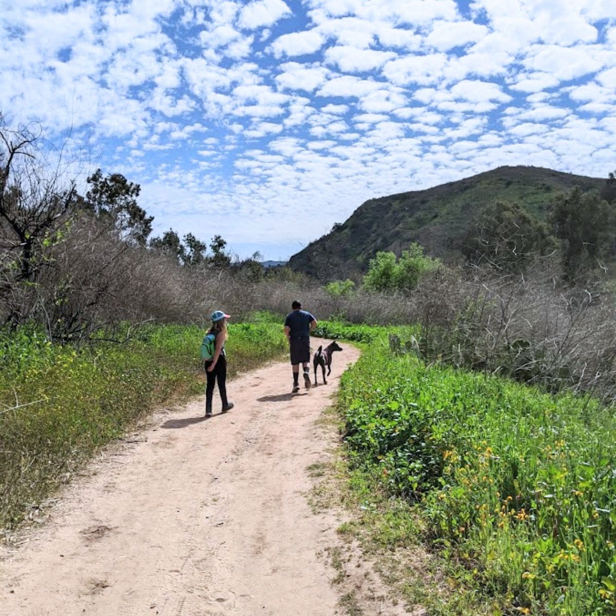 Best Hiking and Mountain Biking Trails | Enjoy OC