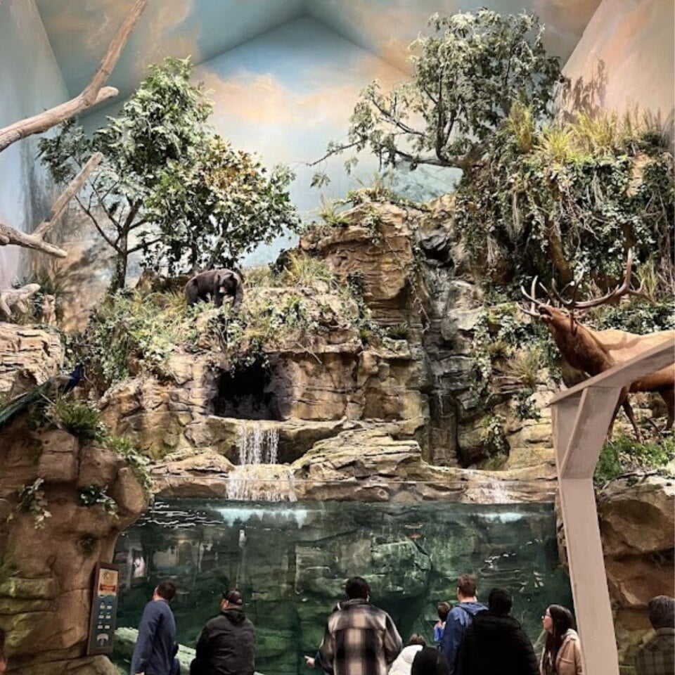 Bass Pro Shops’ Outdoor World Irvine | Enjoy OC